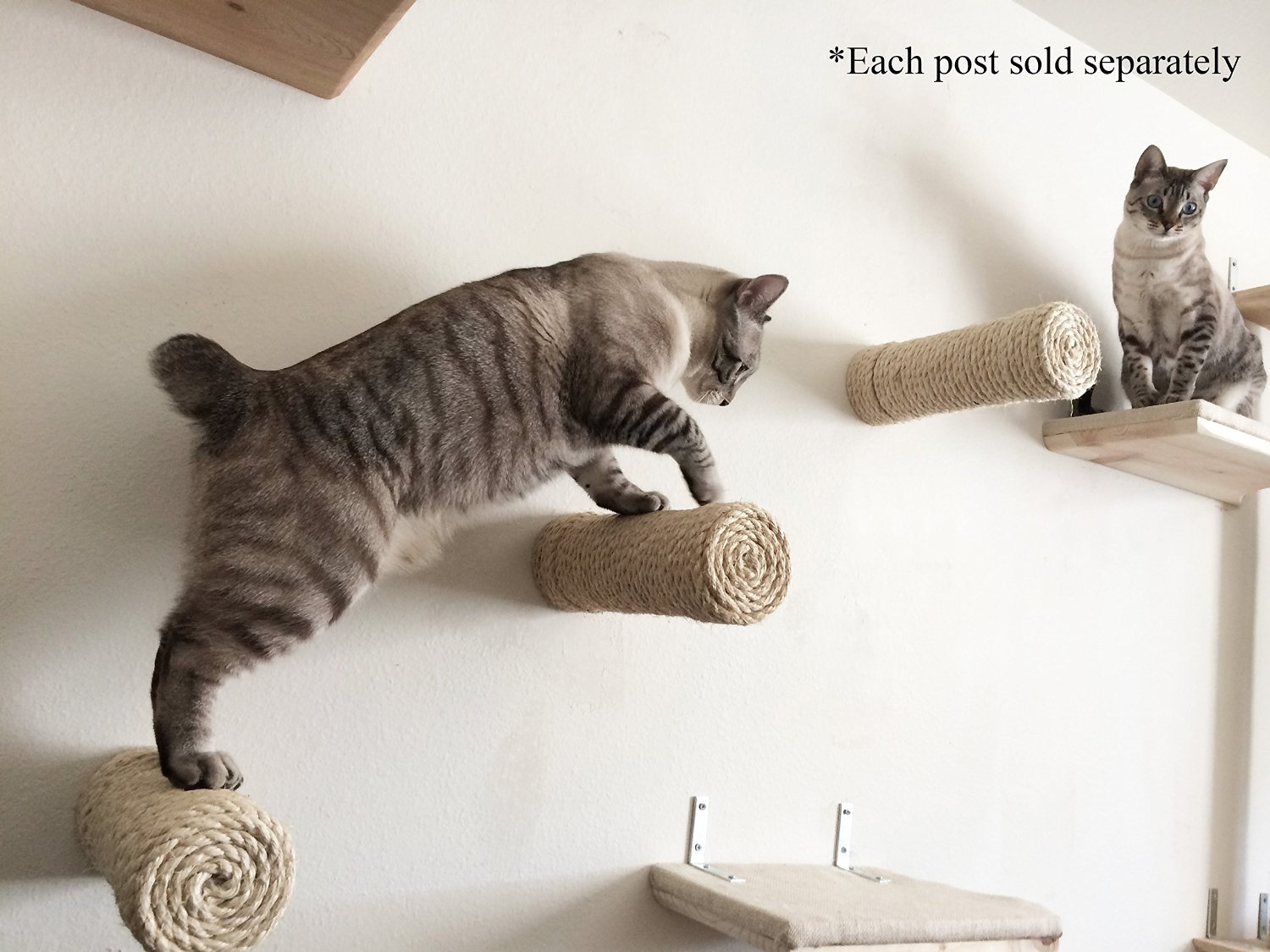 10 Best Cat Wall Shelves, Perches, and Climbing Platforms - Purrrfect ...